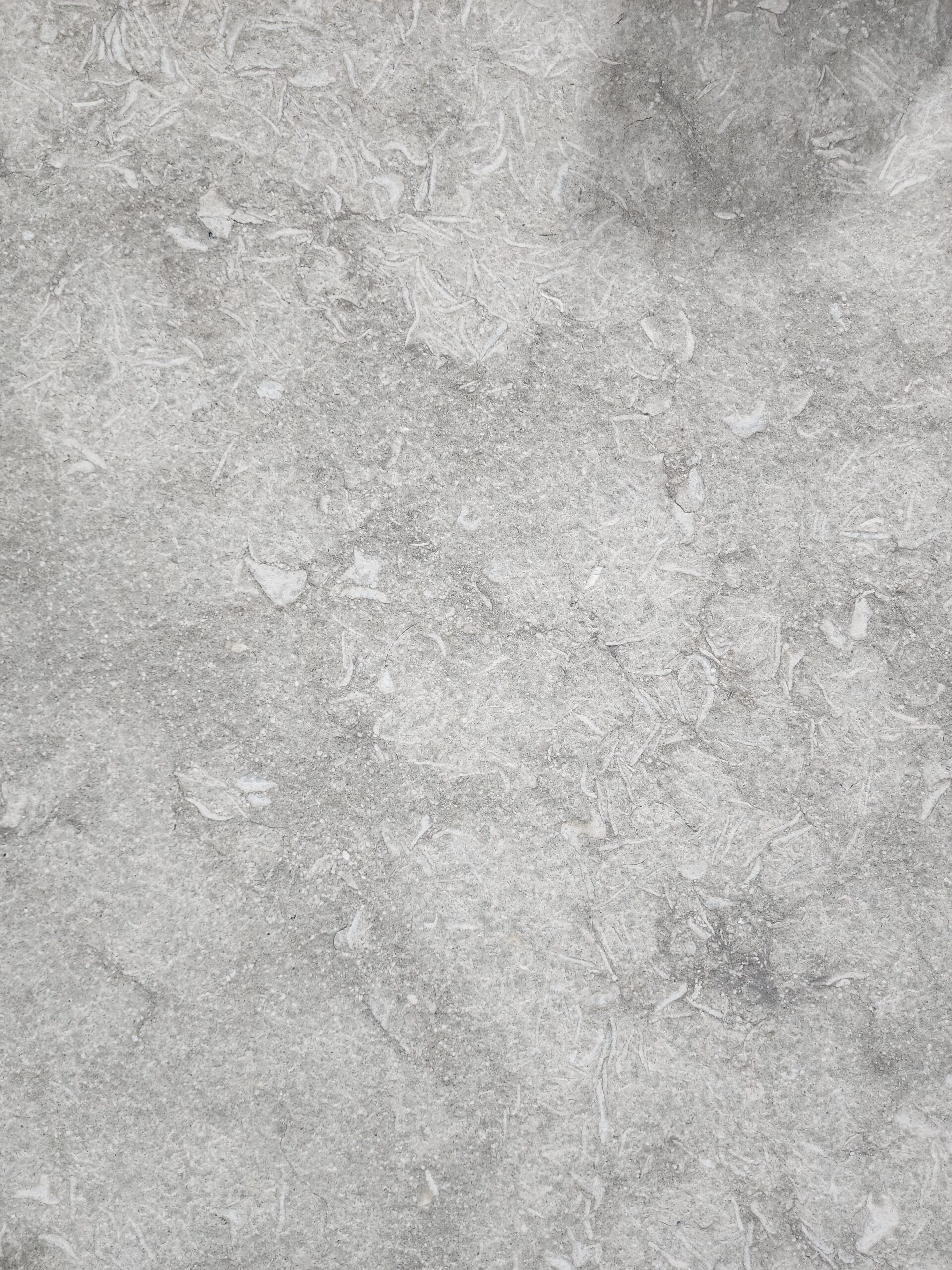 Fossil Brushed Limestone Slabs 20mm - Stone Wholesalers